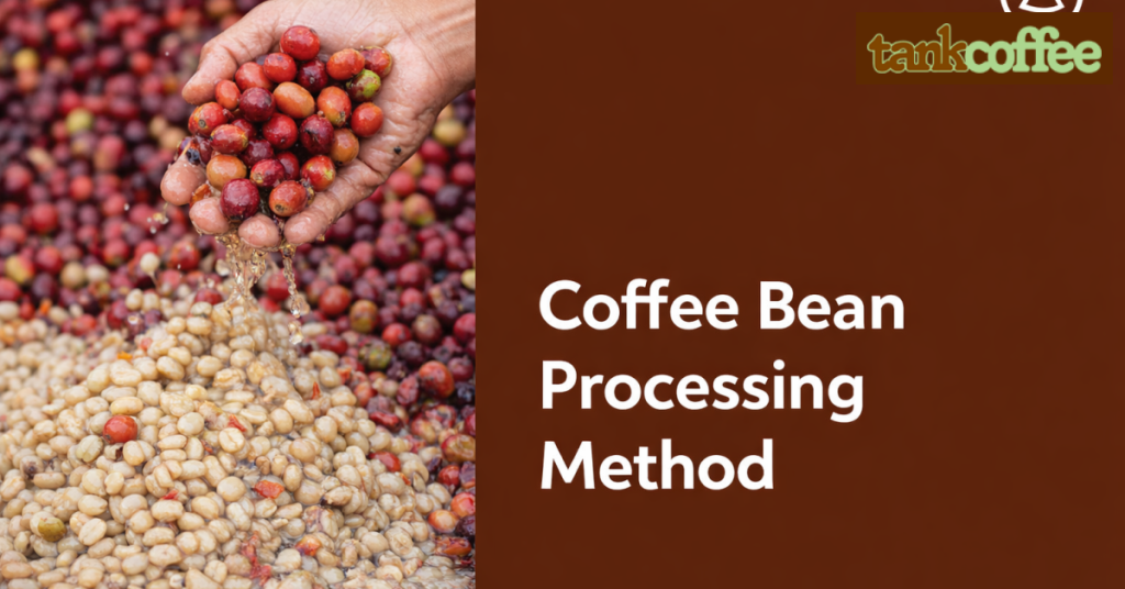 Coffee Bean Processing Method Explained Clearly