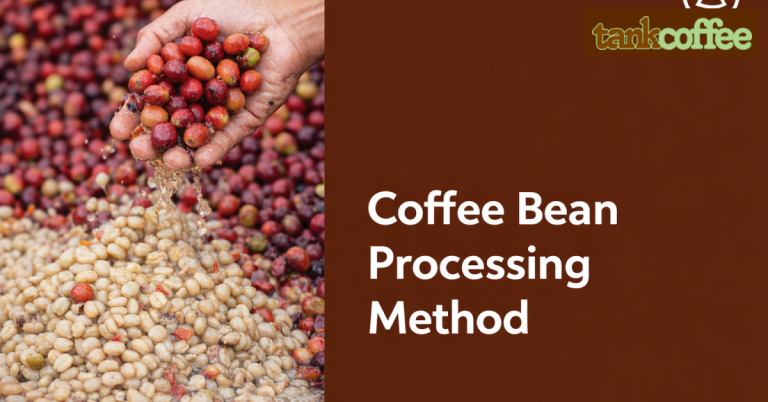 Coffee Bean Processing Method Explained Clearly