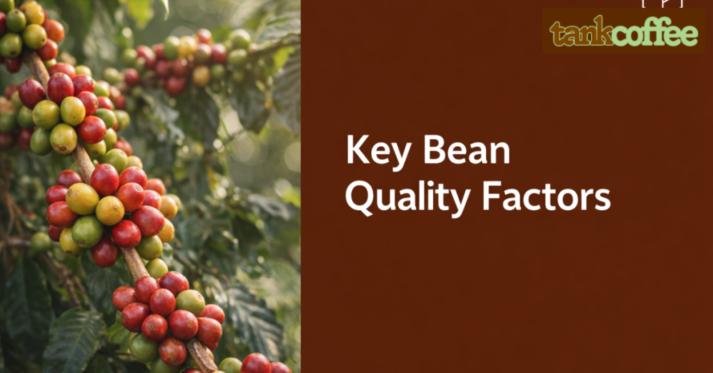 Key Bean Quality Factors For Better Coffee Buying